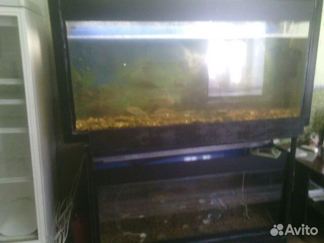Аквариум 500л