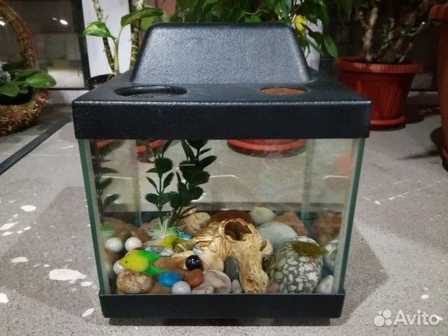 Террариум