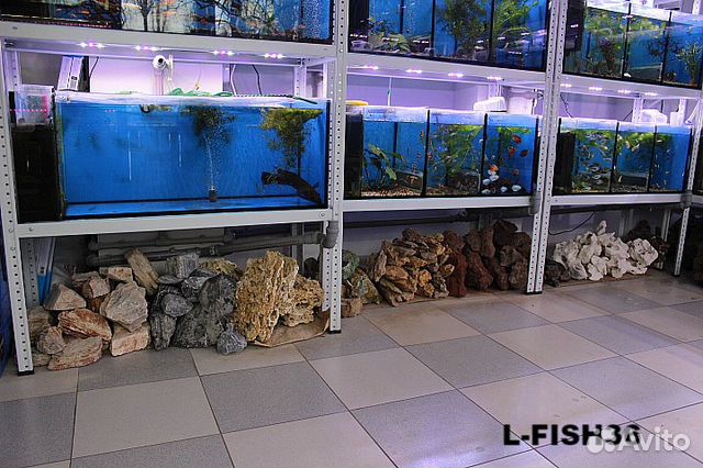 Камни, лава и коряги для аквариумного дизайна