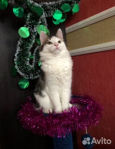 Рождественский подарок от Бурбона ждёт вас