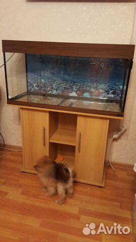 Аквариум 190литров, тумба и все комплектующие