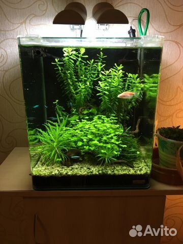 Dennerle nano light 11w