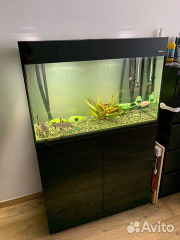 Аквариум Aquael glossy 80 с тумбой