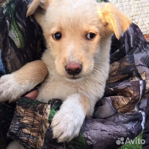 Мылышка Умочка