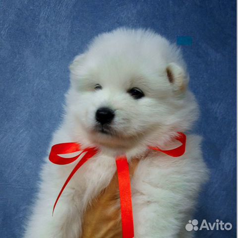 Резервирование