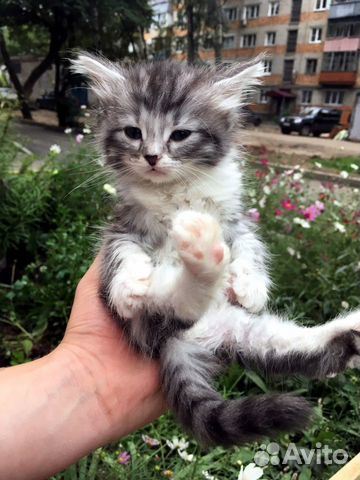 Девочка малышка 1,5 мес