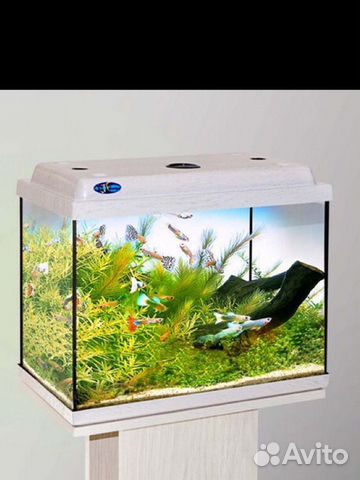 Аквариум Biodesign (Биодизайн) Классик 50 (55 л)