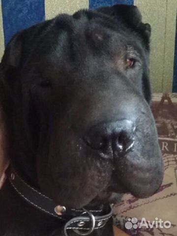 В ответственные руки