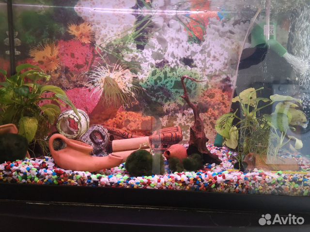 Аквариум с тумбой