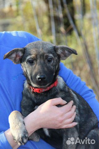 Девчушечка