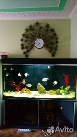 Аквариум 640л
