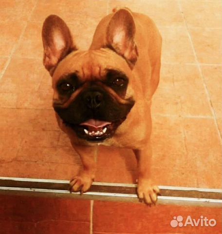 Взрослая девочка француженка