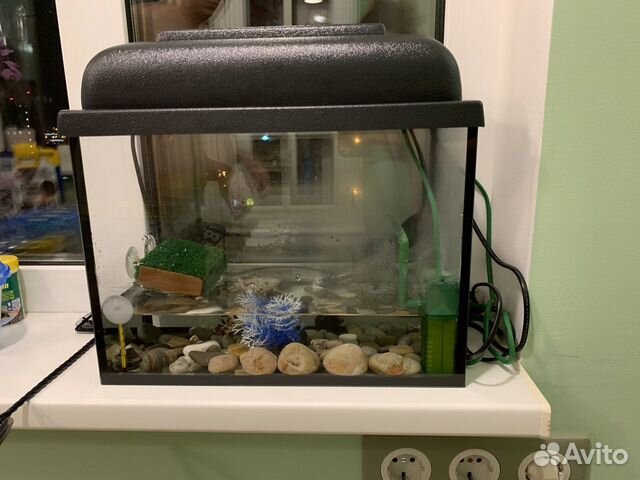 Аквариум + фильтр + нагреватель + лампа