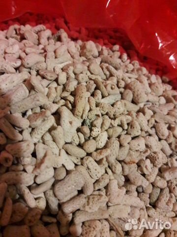 Коралловая крошка