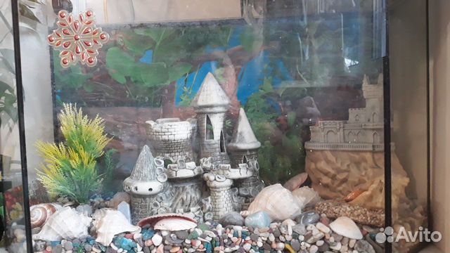 Аквариум