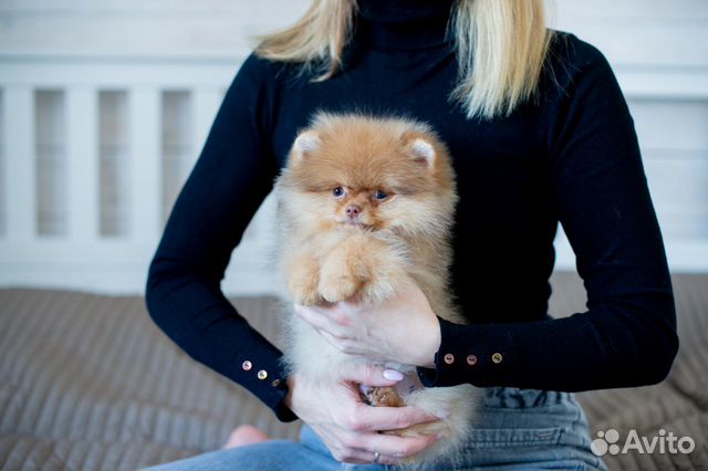 Нереальный красавчик ждёт маму