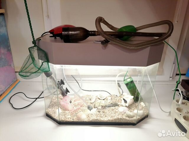 Аквариум 25 л под ключ со всем оборудованием