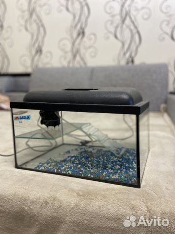 Аквариум для черепахи черепашник