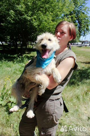 Очаровательное облачко ищет дом