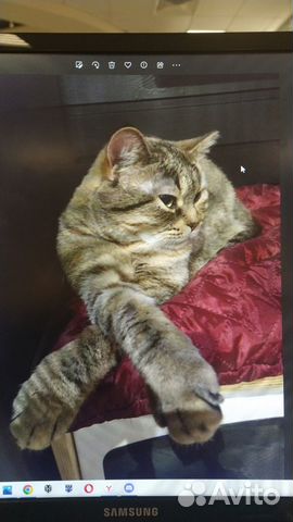 Принцесска диванная