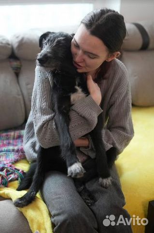 Изящная брюнеточка Черри в добрые руки