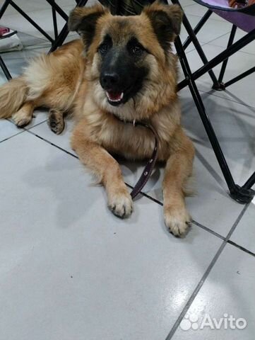 Стефания ждет дом