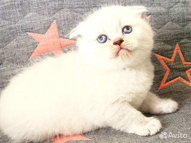 Очаровательная малышка