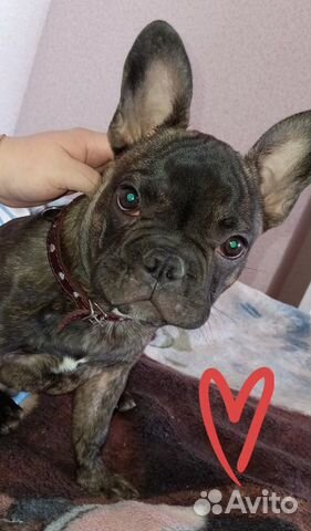 Ищем подружку