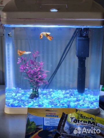 Продам аквариум 9 л