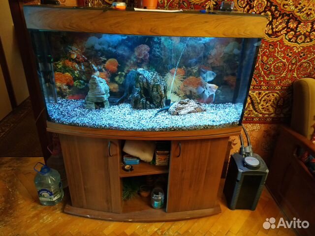 Аквариум с тумбой, фильтрами и рыбками