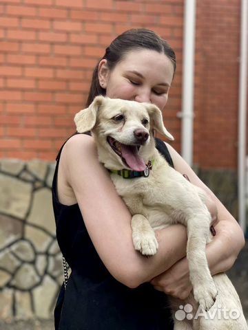 Умница Алтай хочет домой