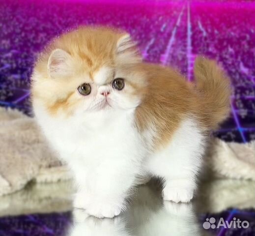 Замечательная малышка