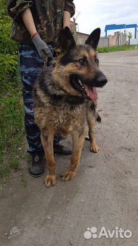 Очень нужны руки