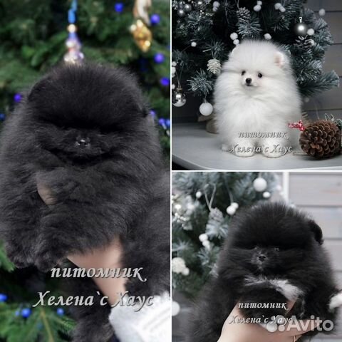 Кукольные малыши