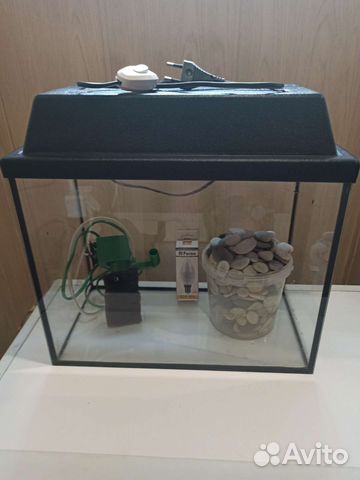 Аквариум