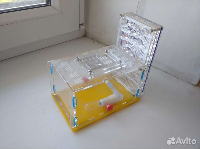 Домашний муравейник