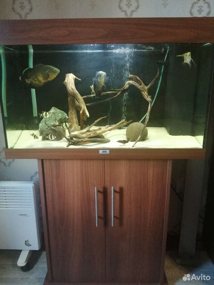 Аквариум