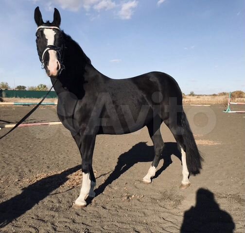 К продаже предлагается